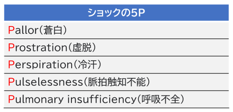 【急変を見抜く：ABCDEアプローチ】看護師必見「急変対応の基礎を徹底解説」 | 教えてカメさん | 看護師向け情報メディア